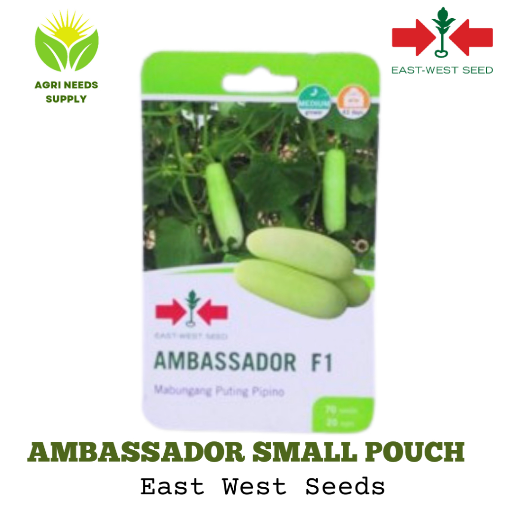 Ambassador F1 ( Pipino ) / Small Pouch / East West Seed (70seeds ...