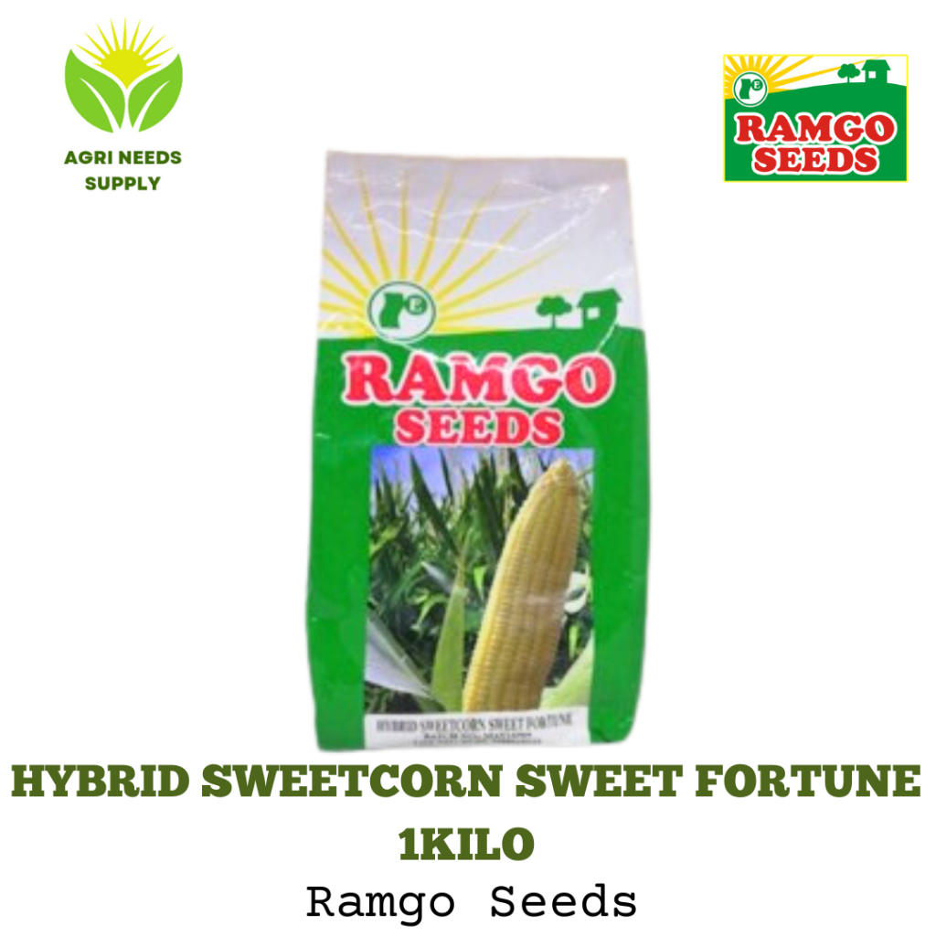 Ramgo Seeds Hybrid Sweetcorn Sweet Fortune 1kilo | Shopee Philippines