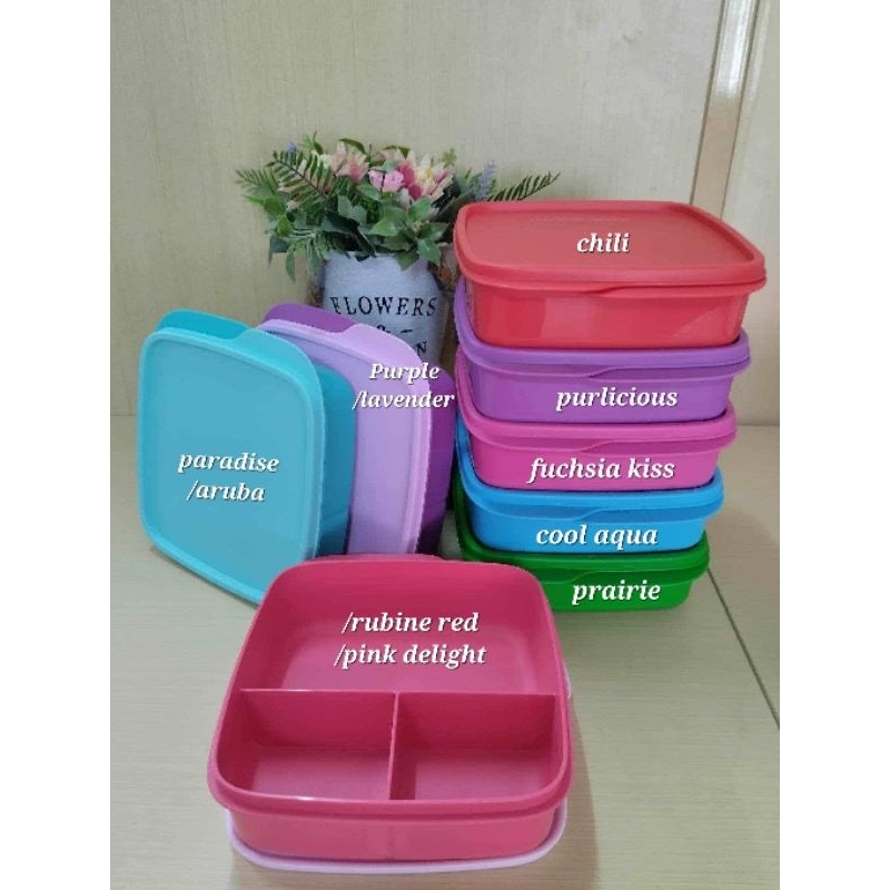 Sale!!!Tupperware Square Divided Lunch Box, 550ml (DON'T ORDER IF NOT ...