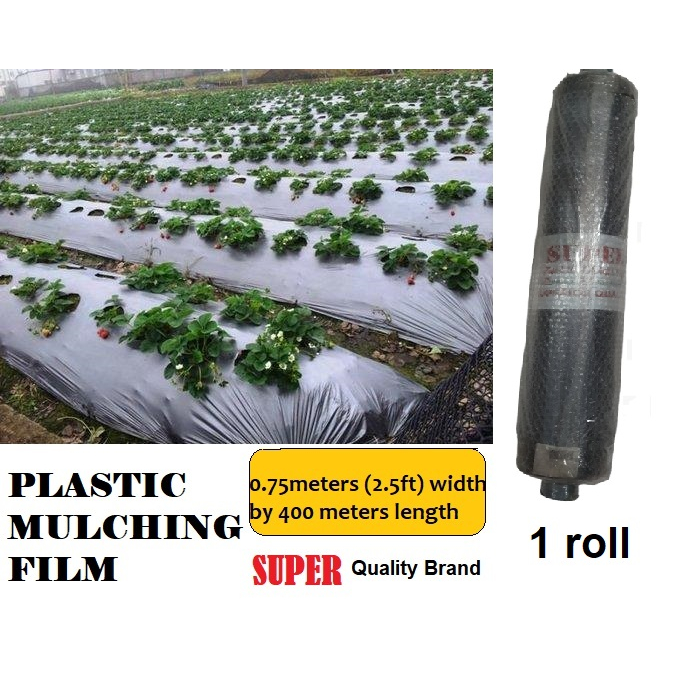 PLASTIC MULCH FILM 2.5feet x 400 meters 2.5ft (0.75m meters width) (1 ...