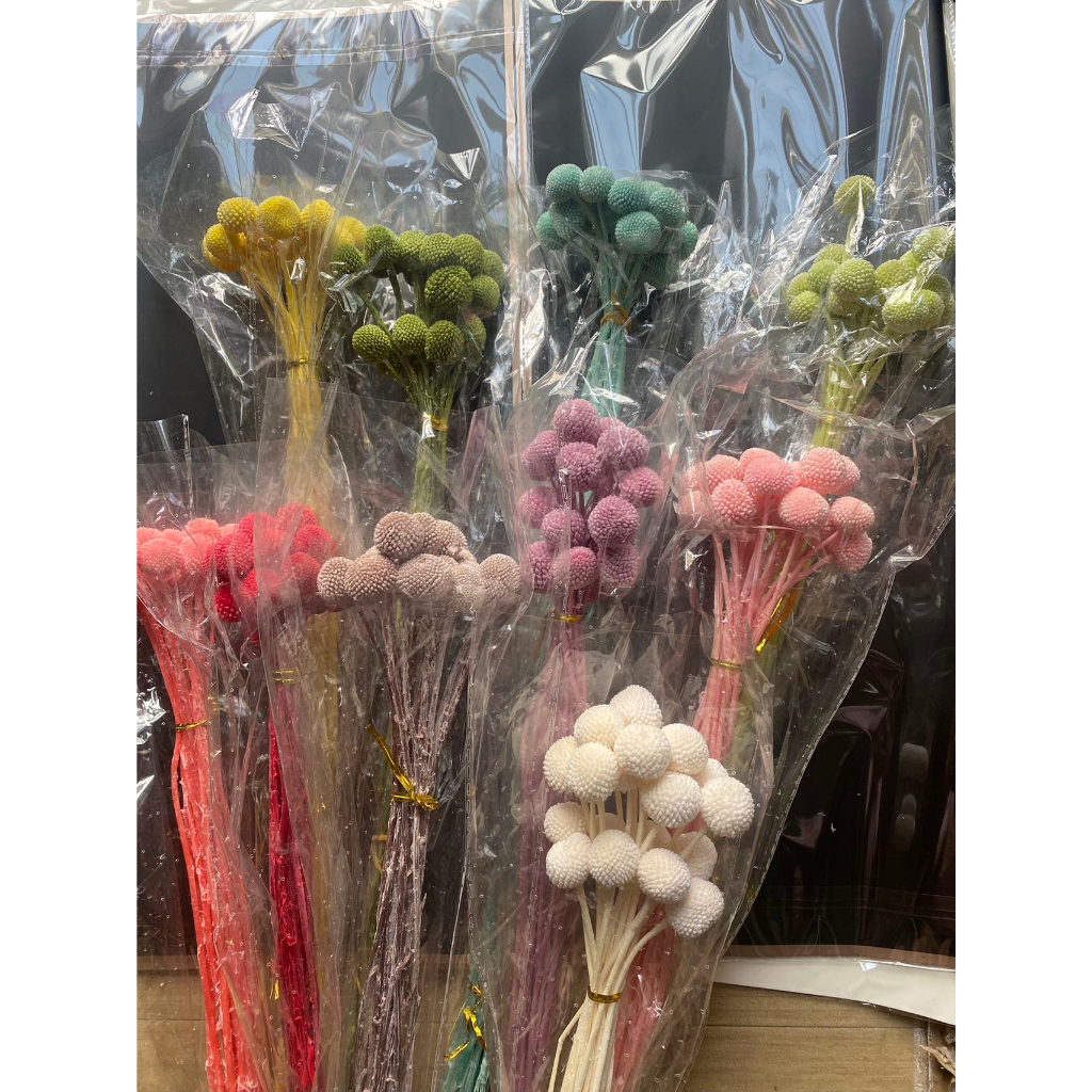 Dried Craspedia around 20stem per bundle | Shopee Philippines