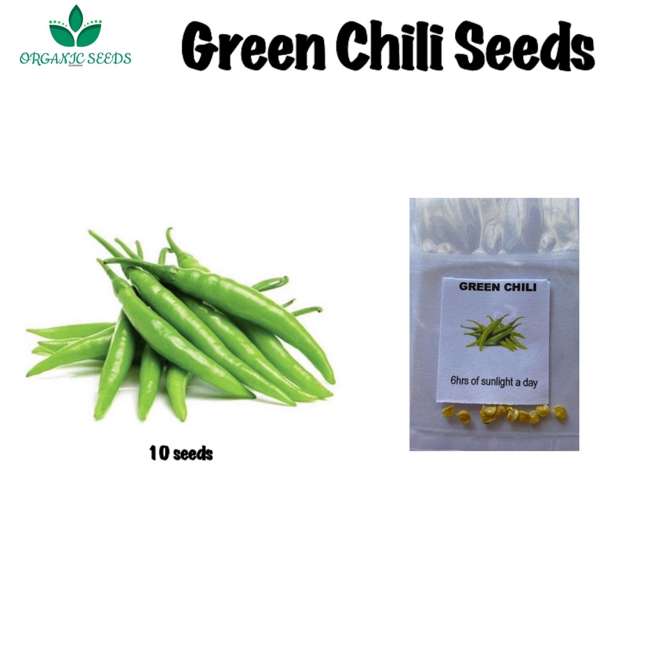 Sili Panigang BEST Seeds (10pcs seed) | Shopee Philippines