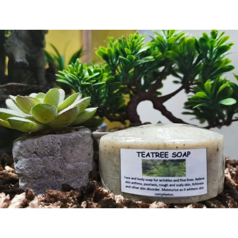 Tea Tree Organic Soap (Herbal Soap) | Shopee Philippines