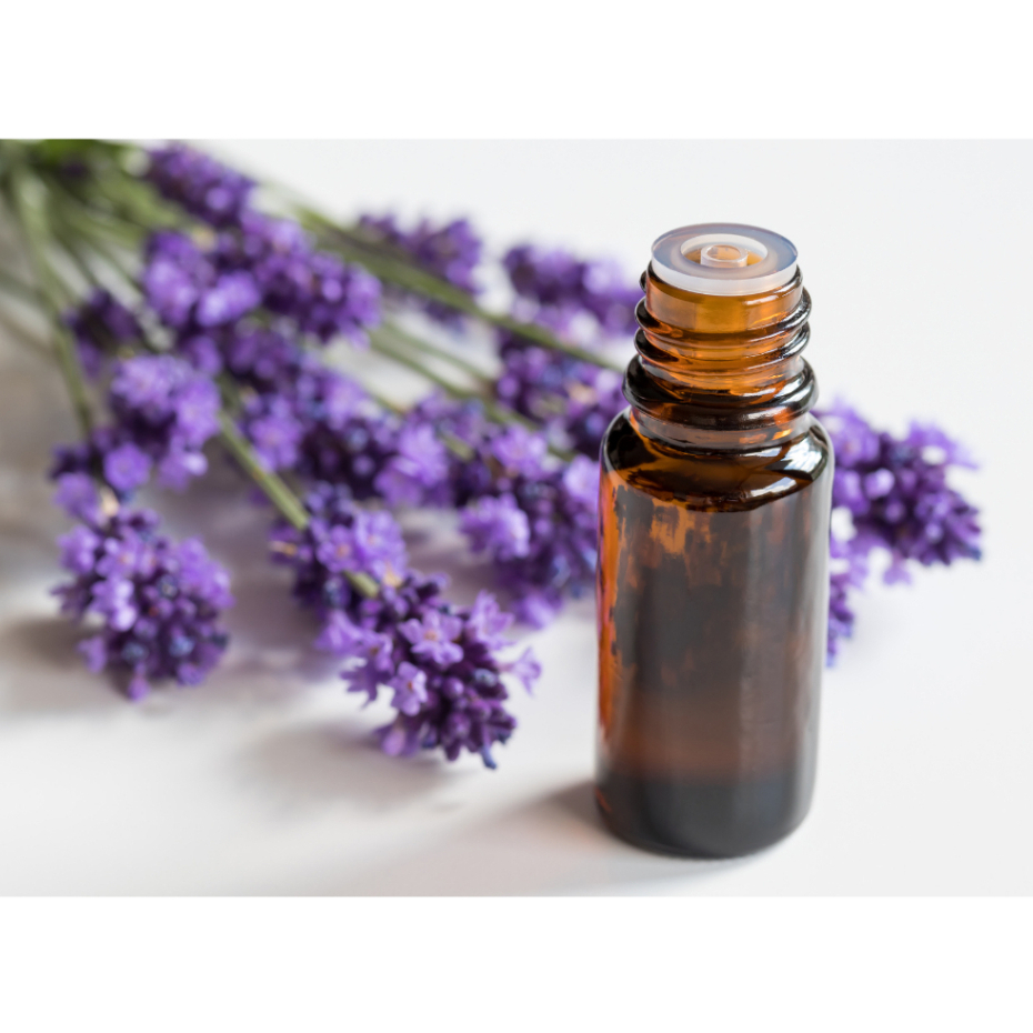 Saniplex Additional Fabcon Scent Fragrance Booster 100ml Extra Strong ...