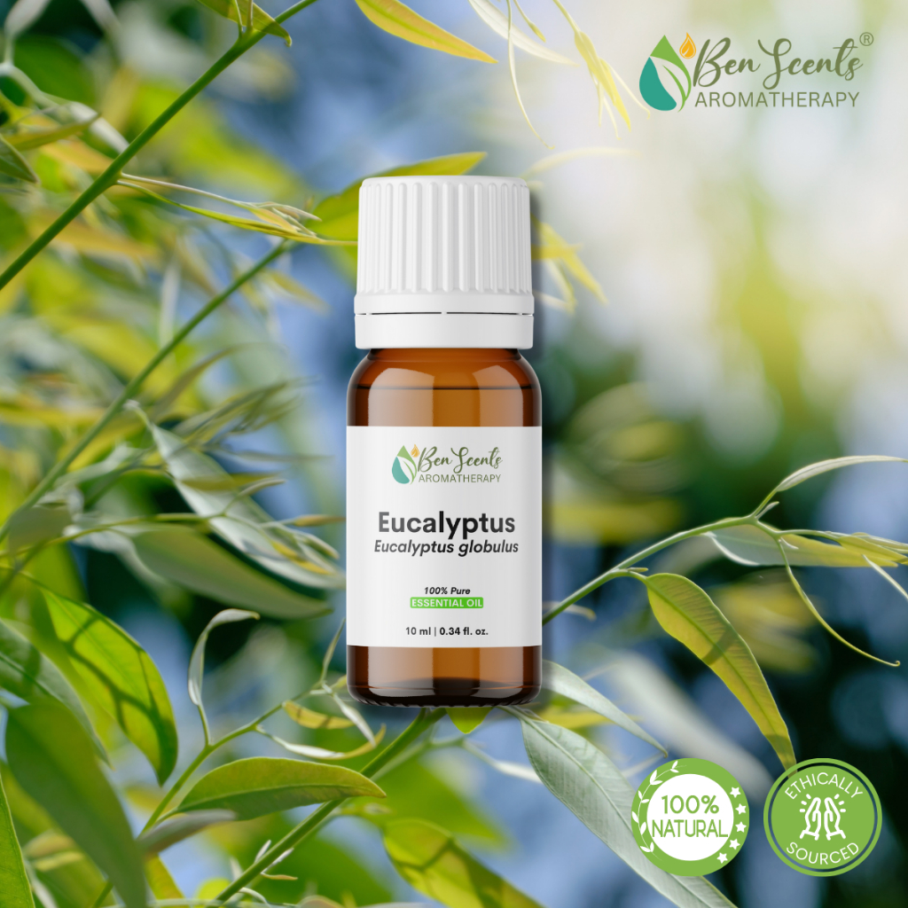 Eucalyptus Globulus Essential Oil 100% Pure Undiluted Plant Based ...