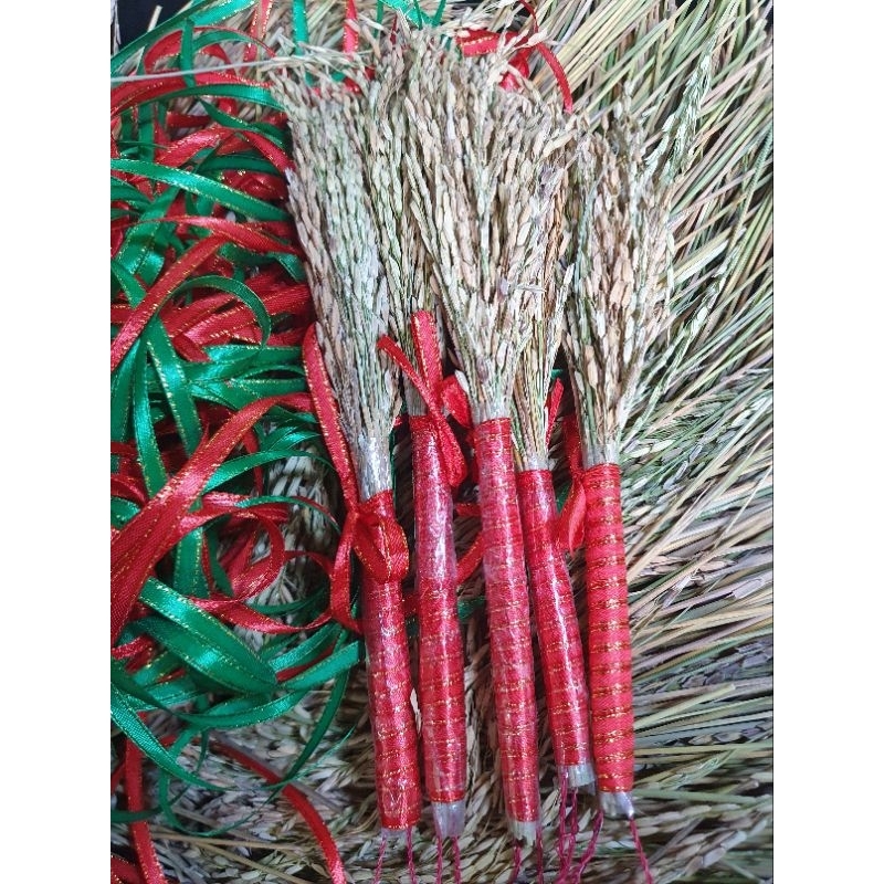 Palay Lucky Charm for 2024 Buy 1 Take 1 | Shopee Philippines