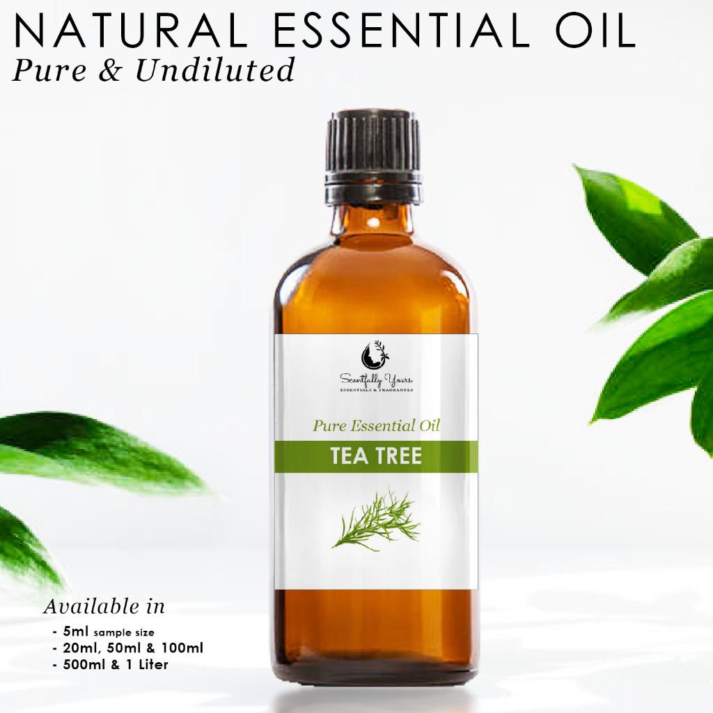 TEA TREE Natural Pure Essential Oil (20ml - 100ml) | Shopee Philippines