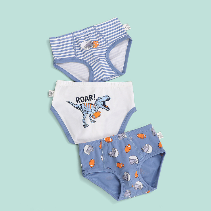 Little Noori Rugby Dinosaur Boys Brief Underwear Innerwear (3 piece set ...
