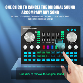 RAYHAYES Bluetooth A2 Live Sound Card Set With Condenser Mic For Live ...