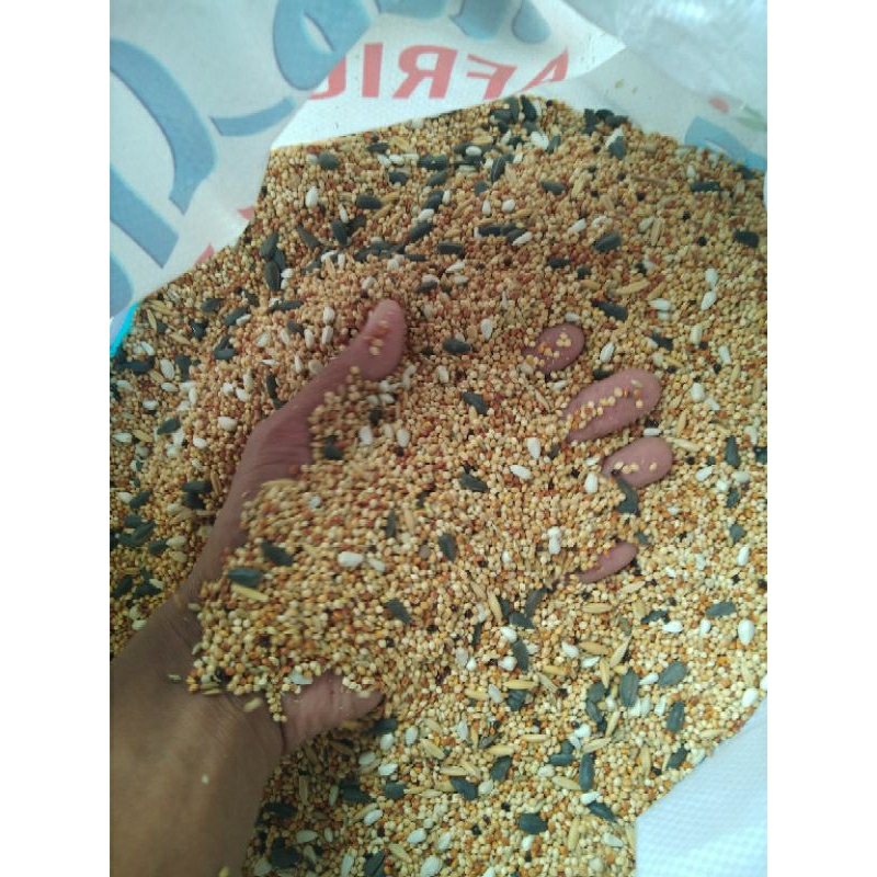 African birds mix seeds 1kg | Shopee Philippines