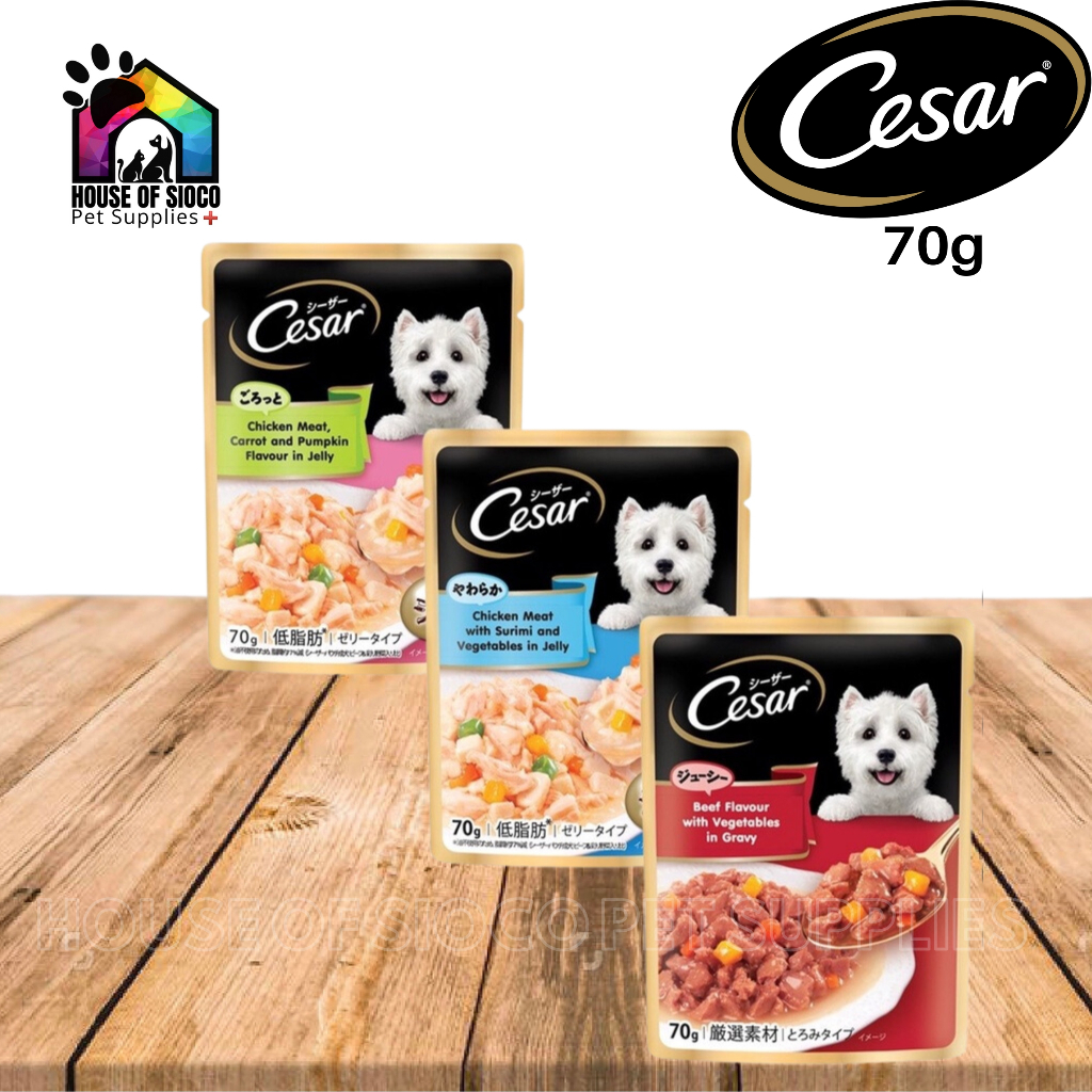 Cesar Pouch Wet Dog Food 70g | Shopee Philippines
