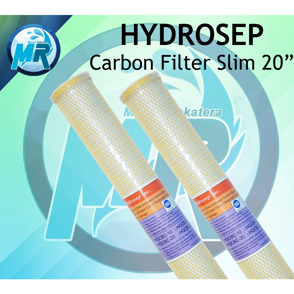 Coco SL20" Carbon CTO filter Hydrosep | Shopee Philippines