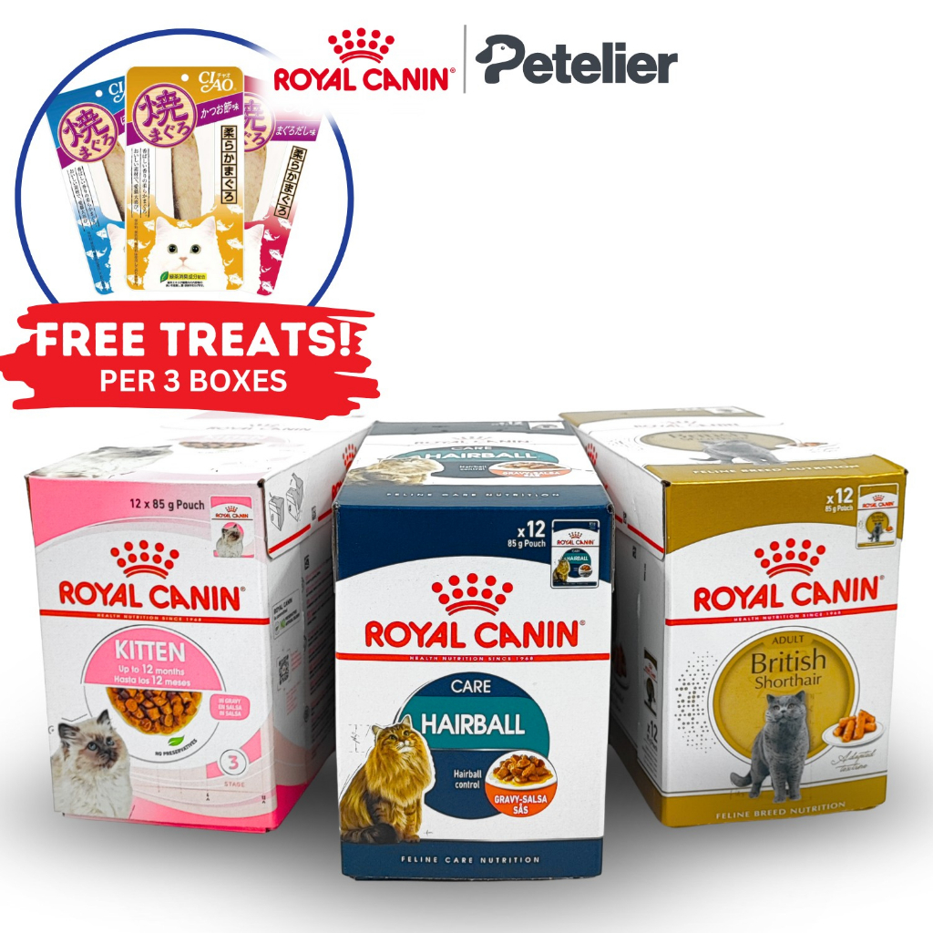 Royal Canin Wet Cat Food Box, 12 pouches Intense Beauty/Urinary ...