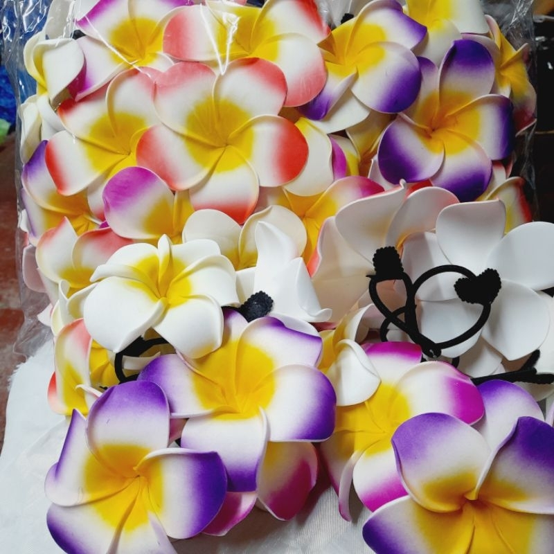 (10pcs)SUPER BIG hawaiian calachuchi plumeria ponytail 4colors only ...
