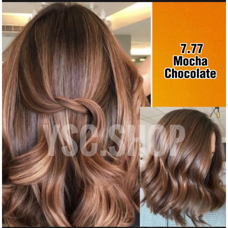 Bremod 7.77 Mocha Chocolate with oxidizer | Shopee Philippines