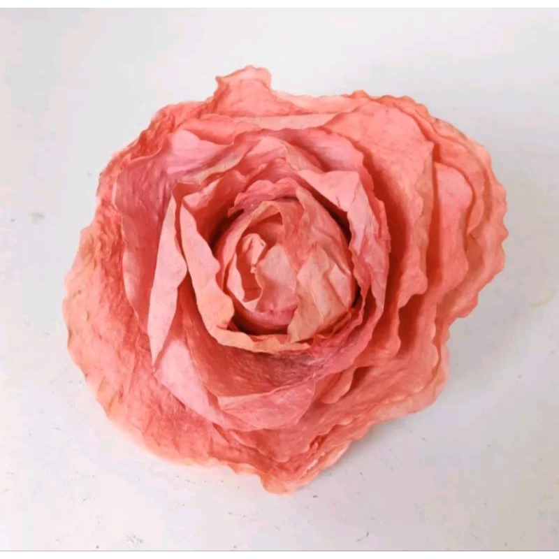 Dried Fossilized Rose (Small) | Shopee Philippines