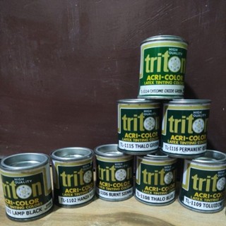 Triton Latex Tinting Color Paint | Shopee Philippines
