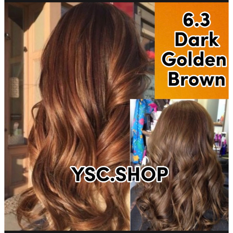 6.3 Bremod Dark Golden Brown with oxidizer | Shopee Philippines