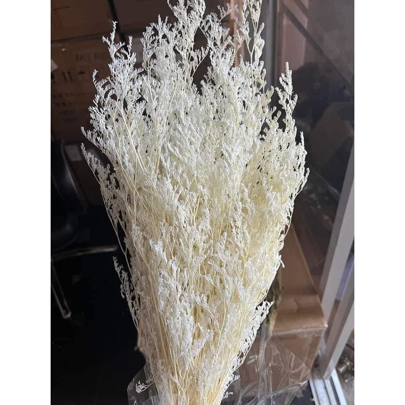 real dried misty flower | Shopee Philippines