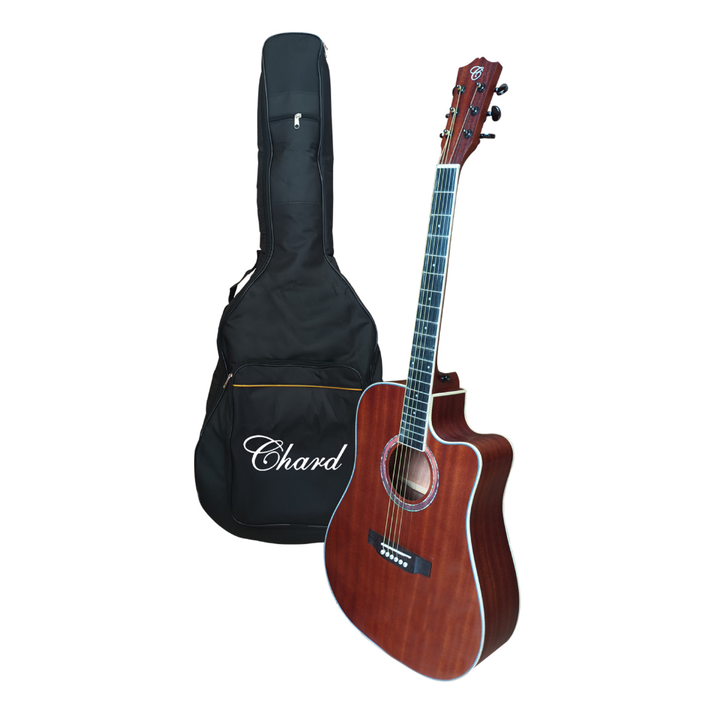 Chard F4130C Acoustic Guitar with Bag (6-string full scale guitar ...