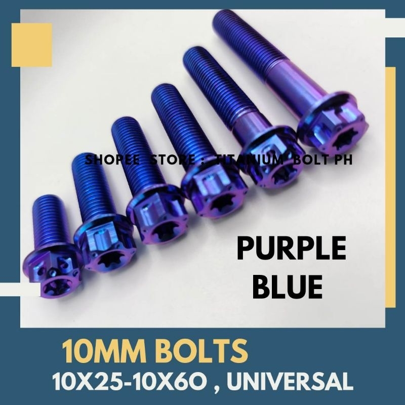 GR5 TITANIUM BOLTS 10X25-10X60 PER PIRASO G5 | Shopee Philippines