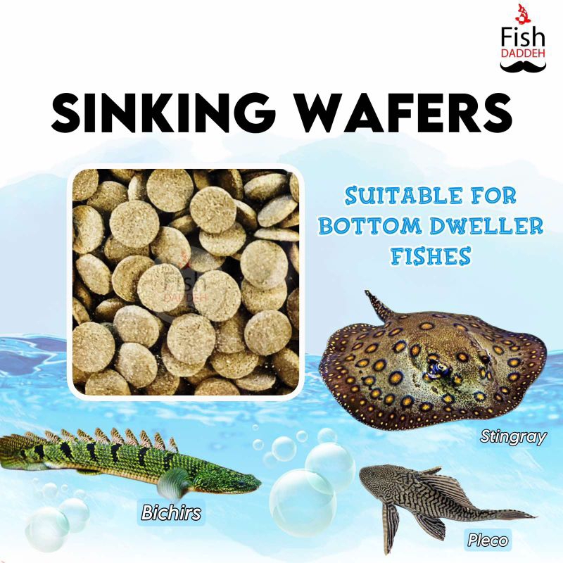 Sinking Wafer Fish Food 110g REPACK | Shopee Philippines