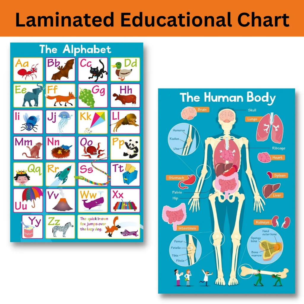 Laminated Telling Time, Times Tables, The Human Body, Numbers 1-100 ...