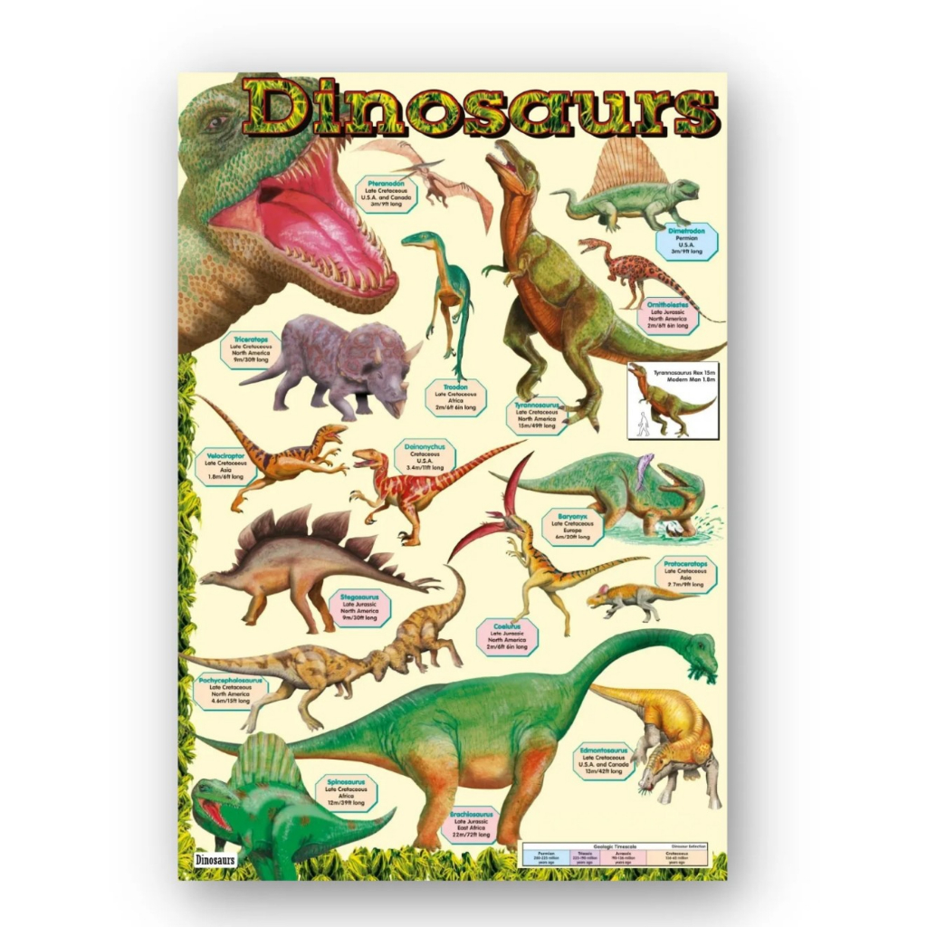 Laminated Dinosaurs Charts for Kids and Learners, Educational Charts ...