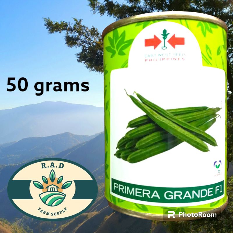 PRIMERA GRANDE F1 (50 GRAMS) | Shopee Philippines