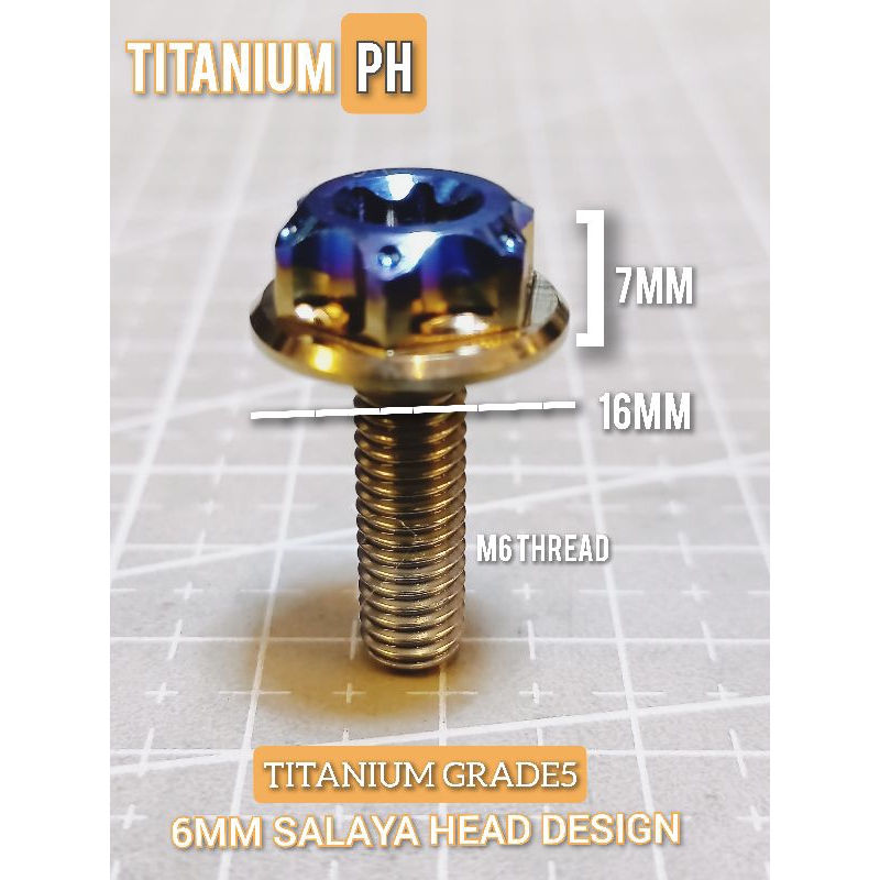 TITANIUM GR5 BURN 6MM NEW SALAYA HEAD (1PC) | Shopee Philippines