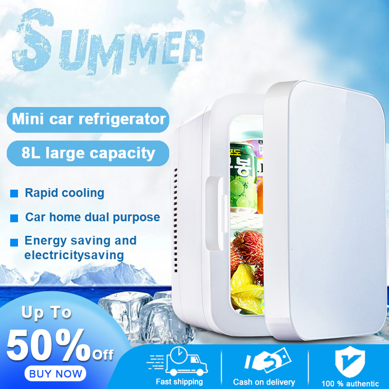 8L Car Mini Refrigerator Skin Care Products Beauty Refrigerator ...