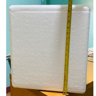 Styro Box / Big / Size : (L) 22” x (W) 15 “ x (H) 17” | Shopee Philippines