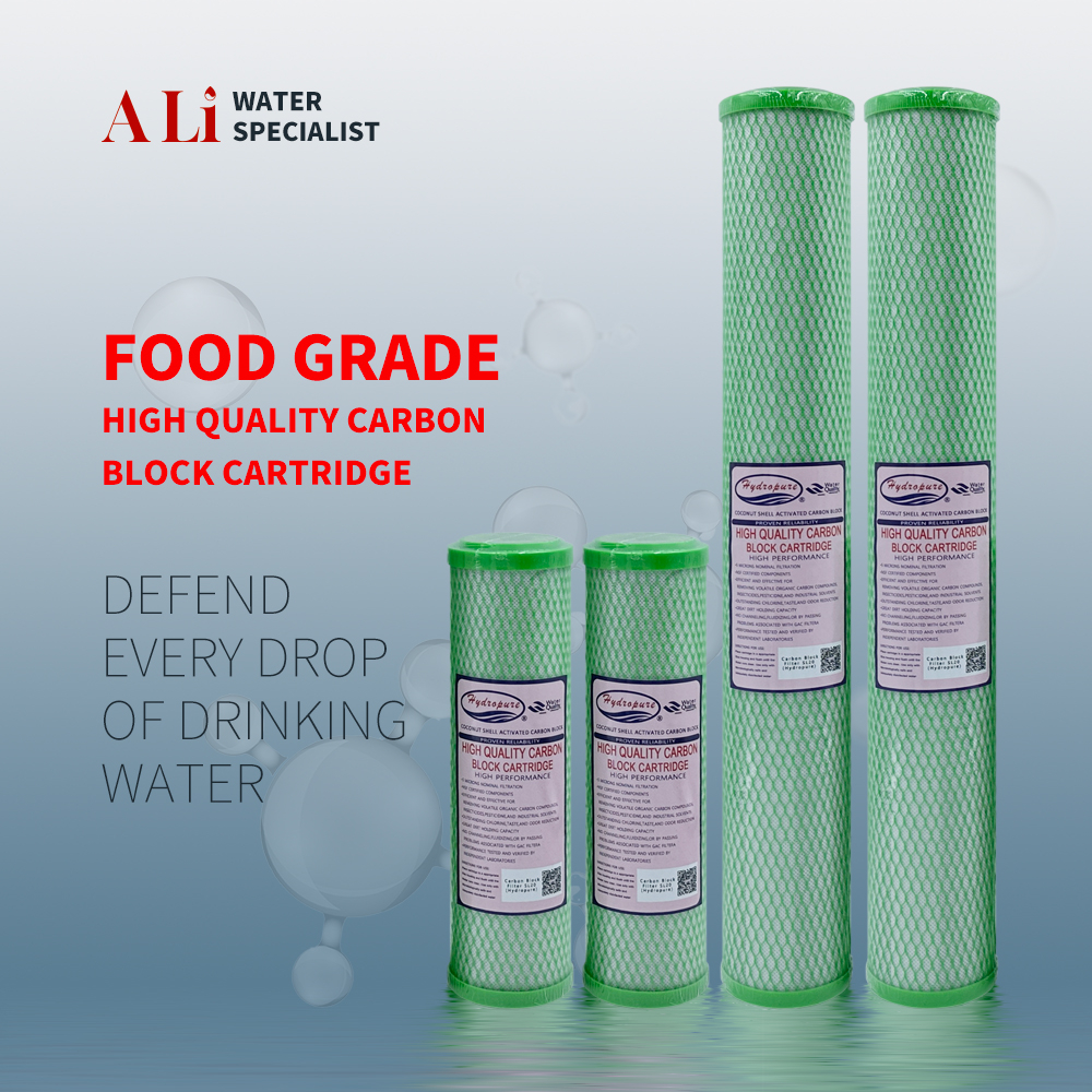 Hydropure Carbon Block Filter CTO 10SL 20SL | Shopee Philippines