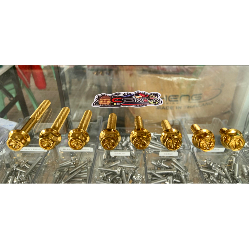 HENG Gold Bolts 8x15mm to 8x60mm | Shopee Philippines