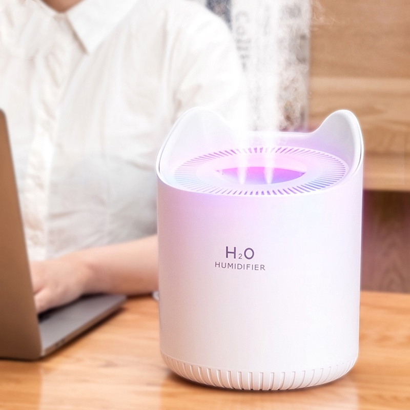 New Humidifier with Diffuser Humidifier Essential Oil Diffuser ...