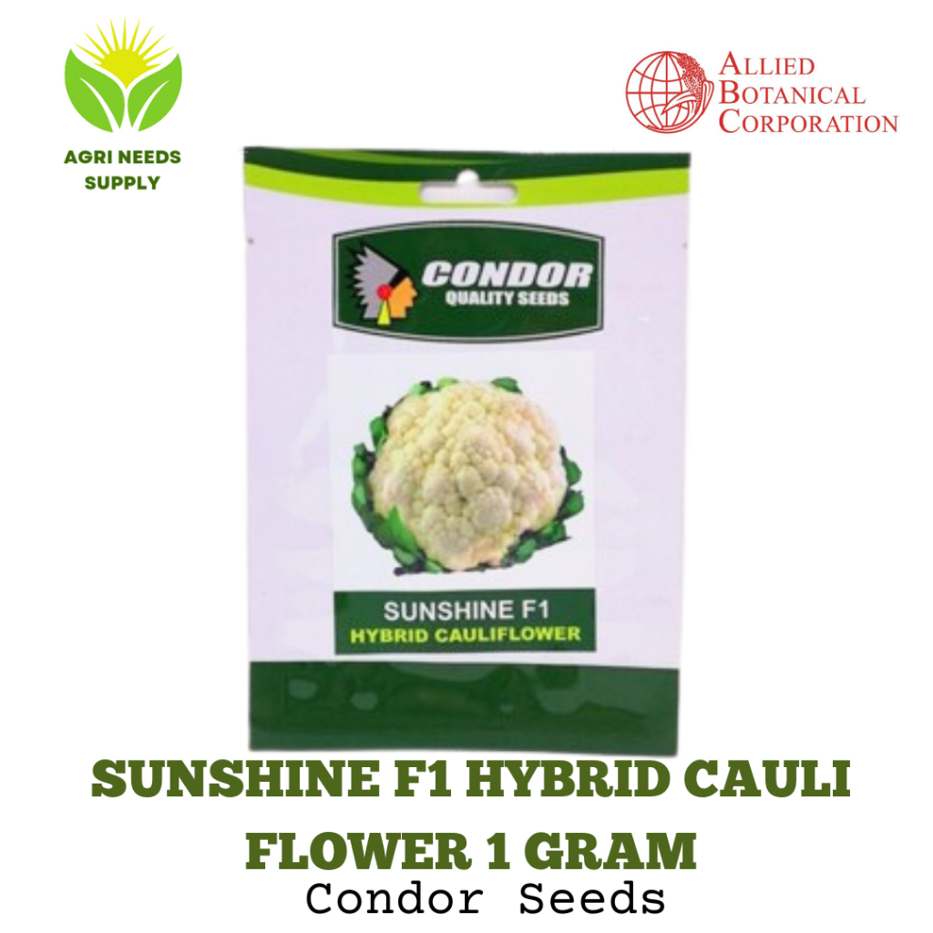 Hybrid Cauliflower Sunshine F1 Condor Sachet 1gram | Shopee Philippines
