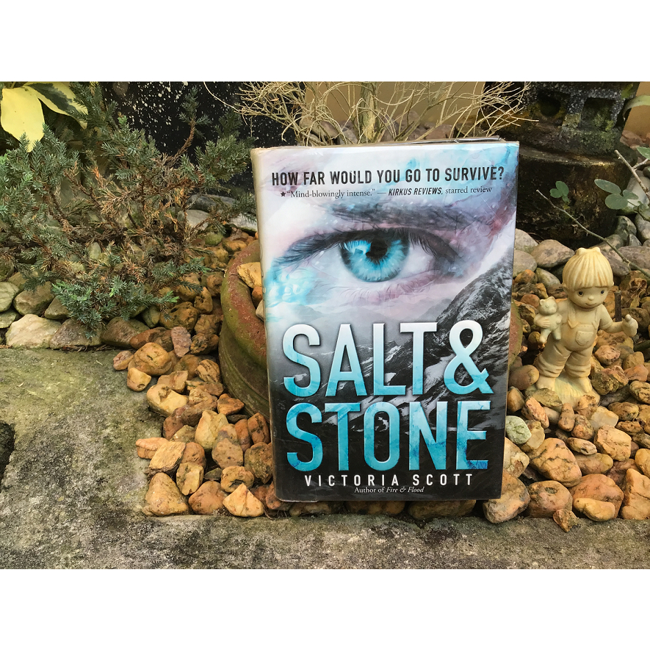 (Fire & Flood Book 2) Salt & Stone - Victoria Scott (Hardbound ...