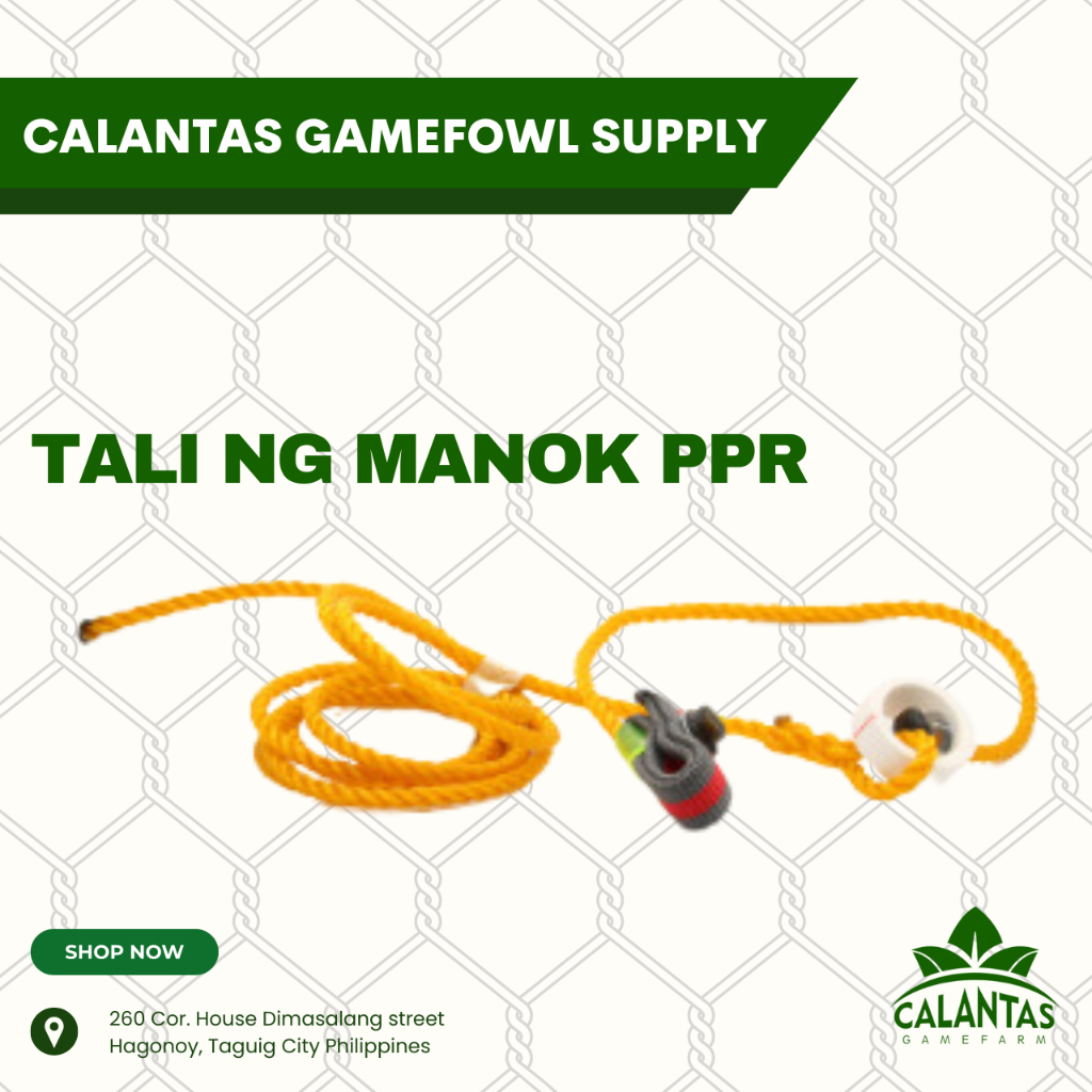 PPR Tali ng Manok Tie Cord Leash | Shopee Philippines