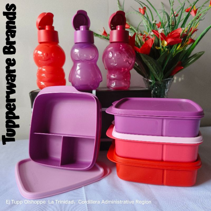Tupperware Brands 1 Lunchbox + 1 Ecobottle Set | Shopee Philippines