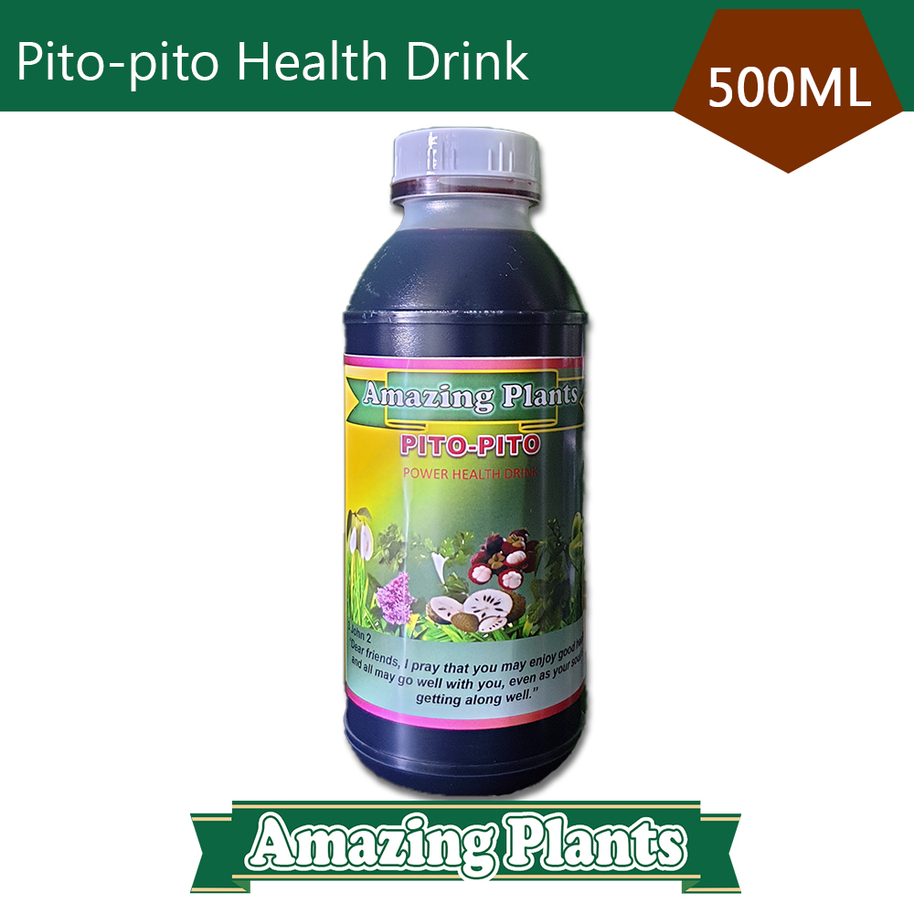Amazing Plants Pito pito Power Health Drink (Pito-pito) | 500ml ...