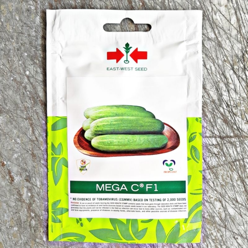 MEGA C F1 HYBRID CUCUMBER SEEDS ASENSO PACK (200 SEEDS) by EAST WEST ...