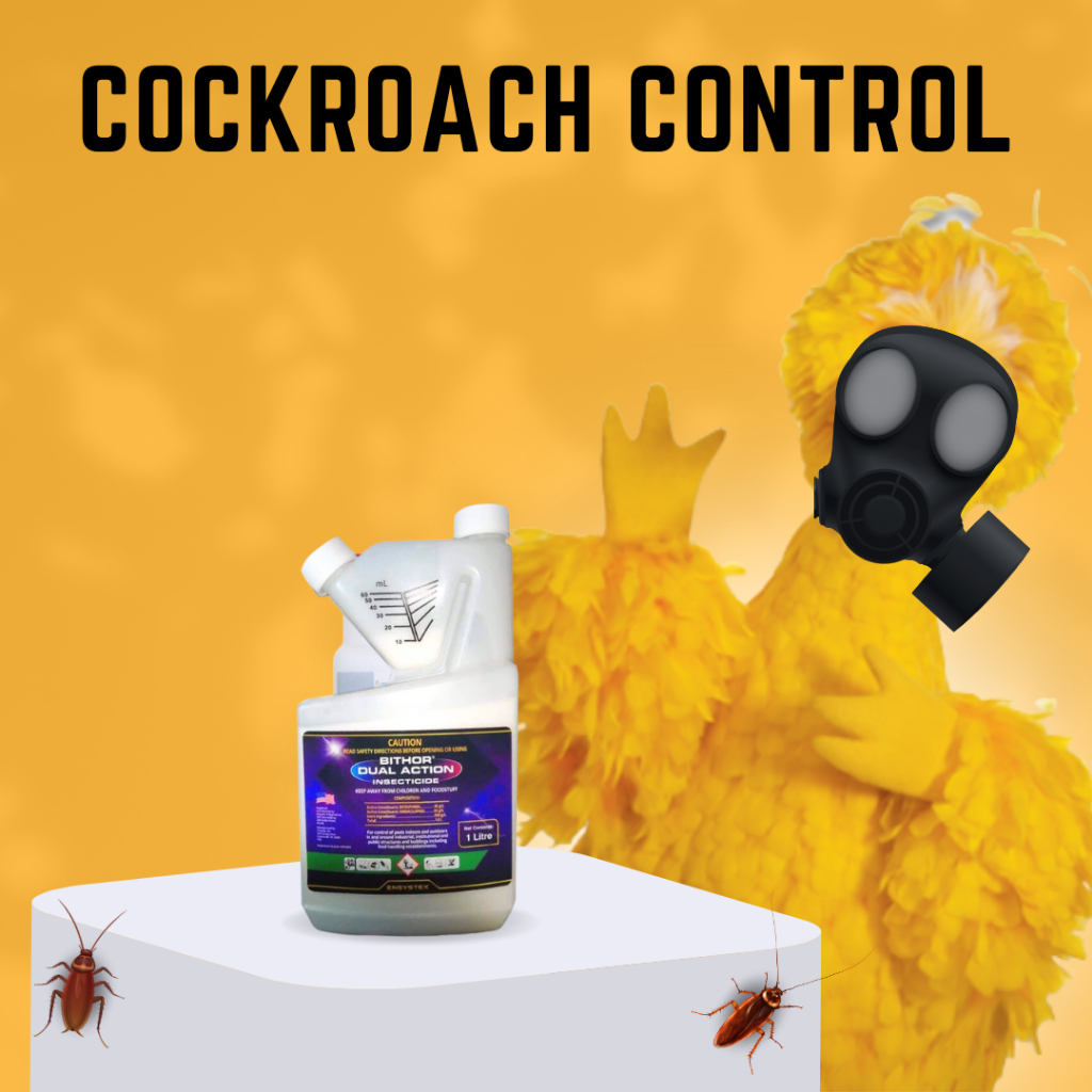 BITHOR DUAL ACTION | BIFENTHRIN | IMIDACLOPRID | COCKROACH & FLY ...