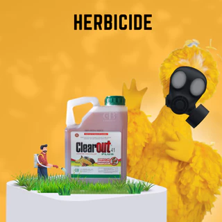 clearout - Best Prices and Online Promos - Jun 2024 | Shopee Philippines