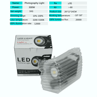 300W Professional Studio Flash Light Strobe Studio lighting for ...