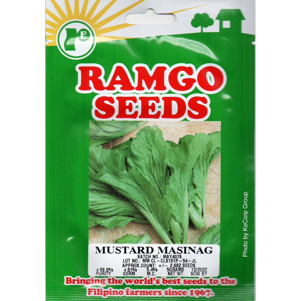 Ramgo RPD MUSTARD MASINAG Seeds 5 g S4 GDSFPH_S4 | Shopee Philippines