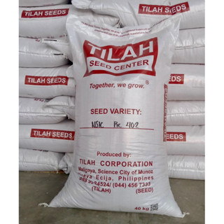 Palay Seeds Binhing Palay Rice Seeds authorized dealer of Tilah Seeds ...