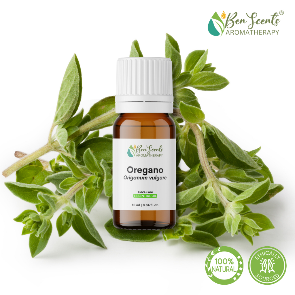 Oregano Essential Oil 100% Pure Undiluted Plant Based | Shopee Philippines