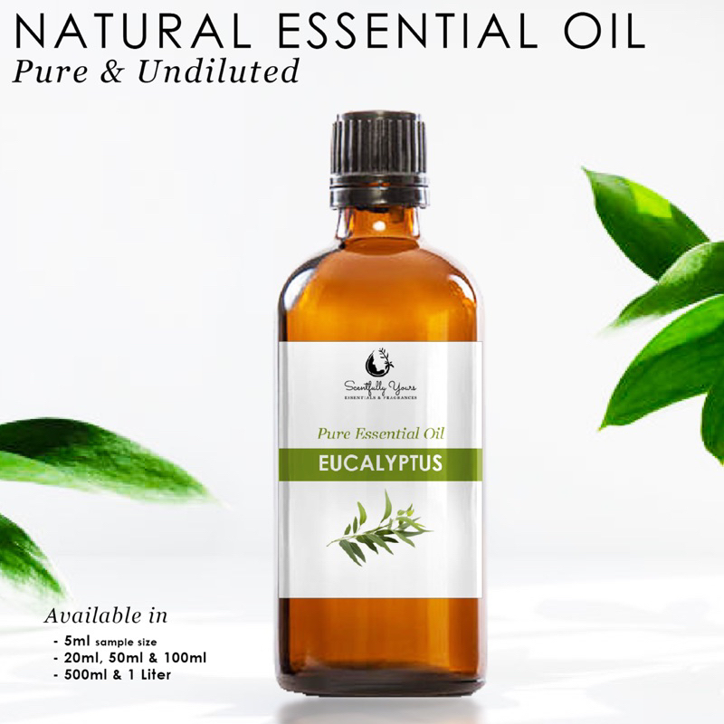 EUCALYPTUS Natural Pure Essential Oil (20ml - 100ml) | Shopee Philippines