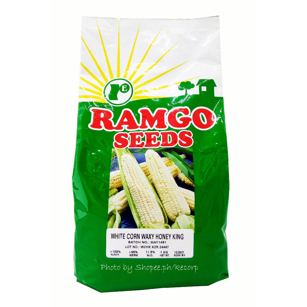 Ramgo Seeds Corn White Waxy Honey 1 Kilo Pack KECORP_S1 | Shopee ...