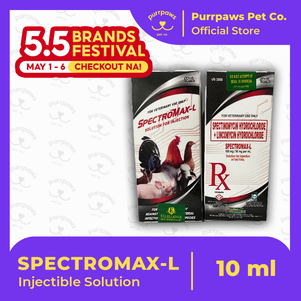 SPECTROMAX-L Injectable Solution (10ml) | Shopee Philippines